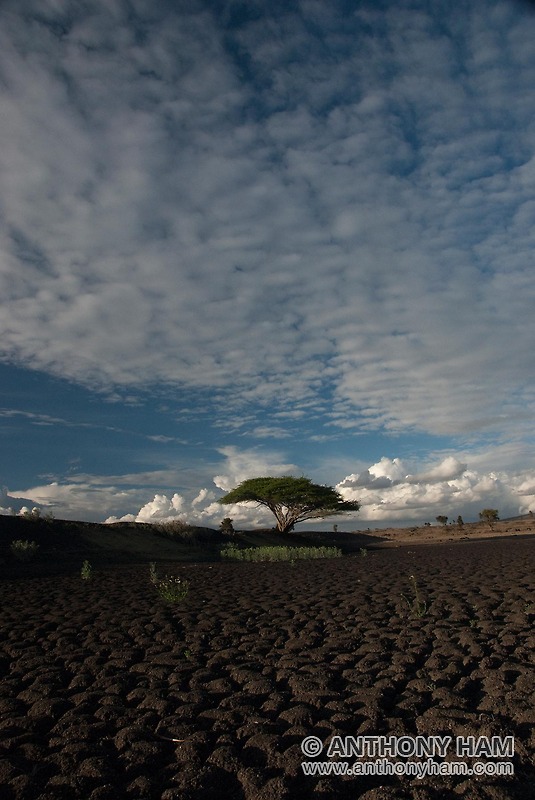 Kenya - Anthony Ham - Writer and Photographer