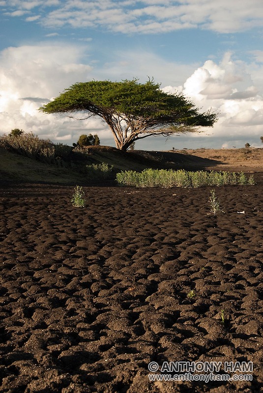 Kenya - Anthony Ham - Writer and Photographer